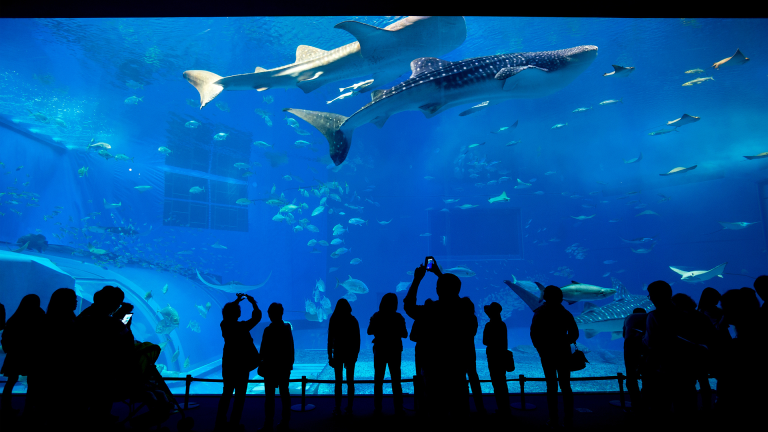 Atlanta Data Centers: A Premier Colocation Option