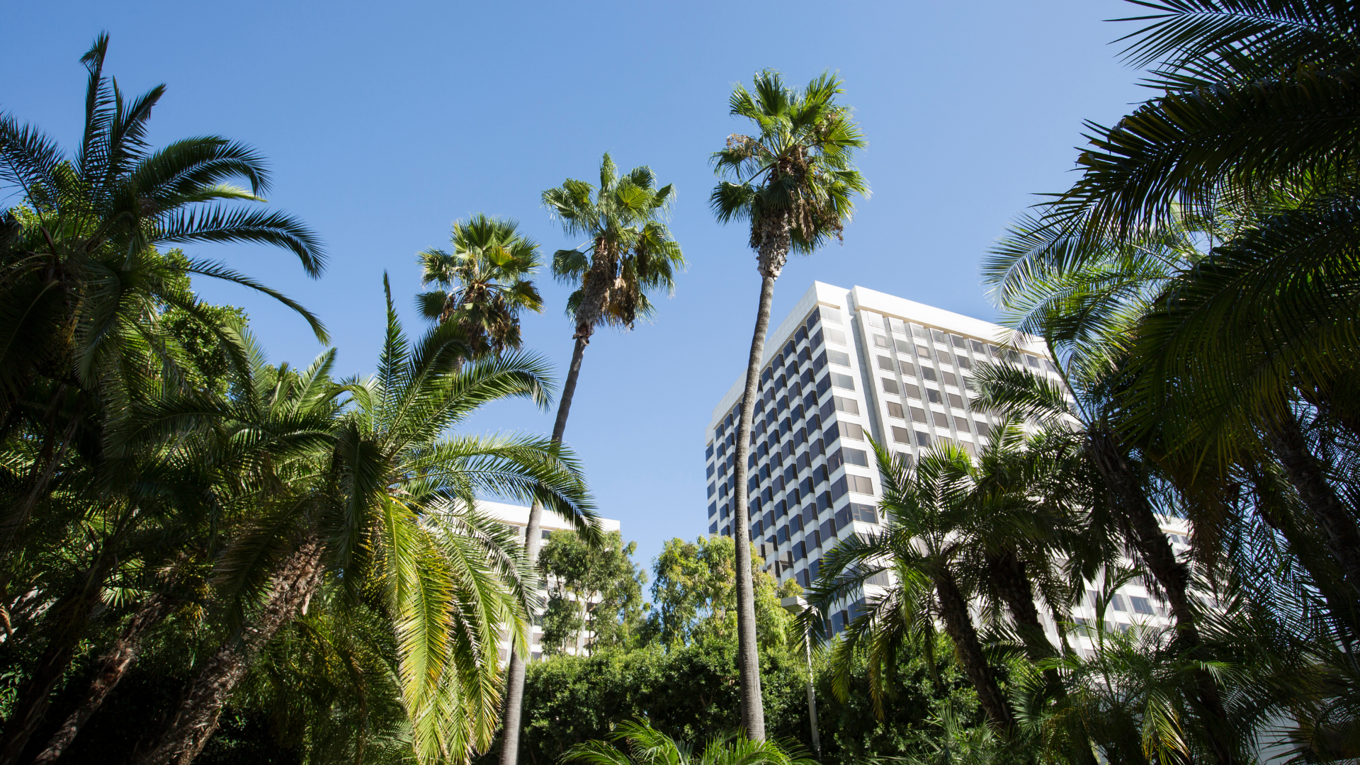 Irvine Colocation: A Guide to Data Centers in Orange County