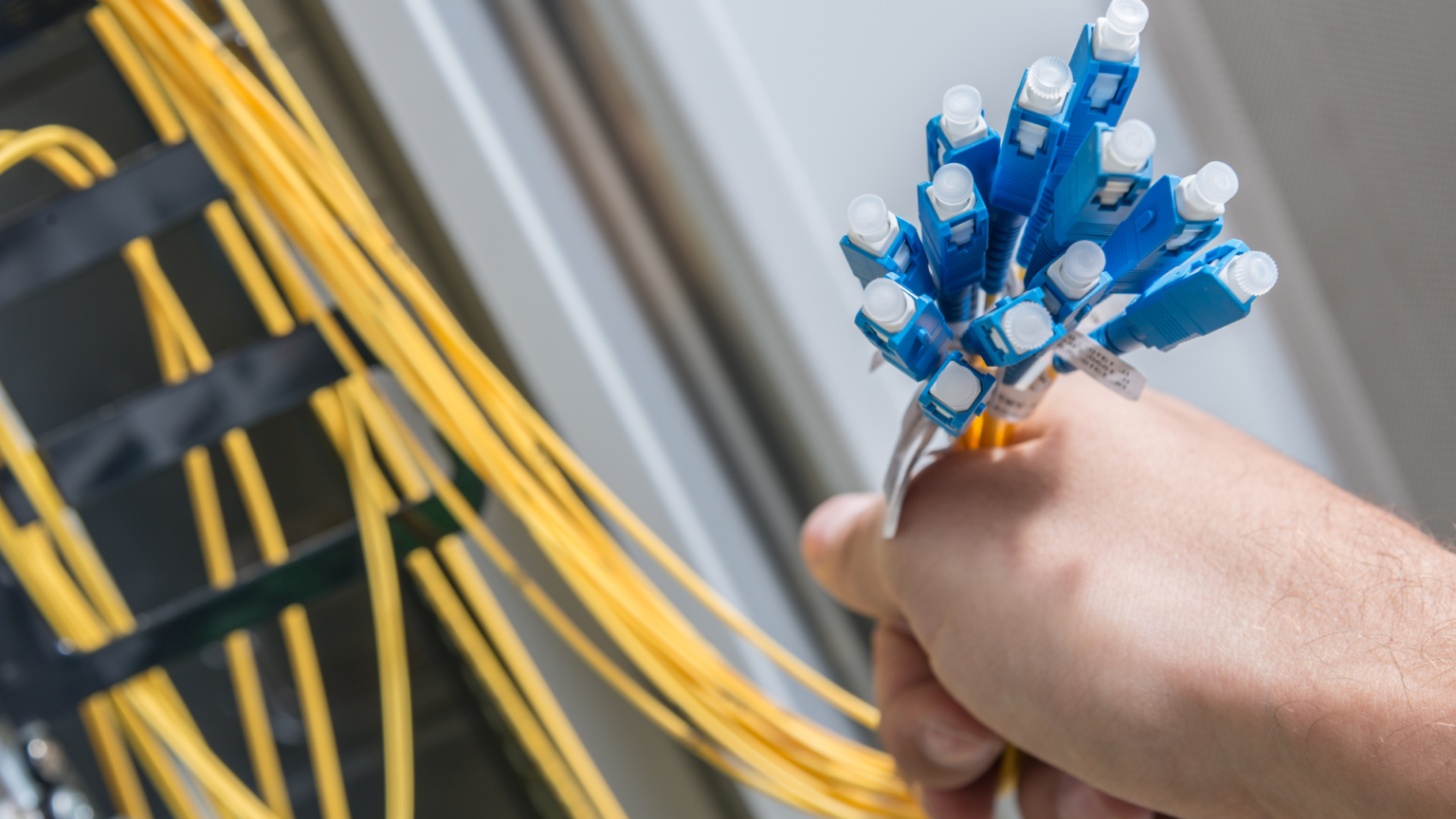 Dark Fiber vs. Lit Fiber: What's the Difference?