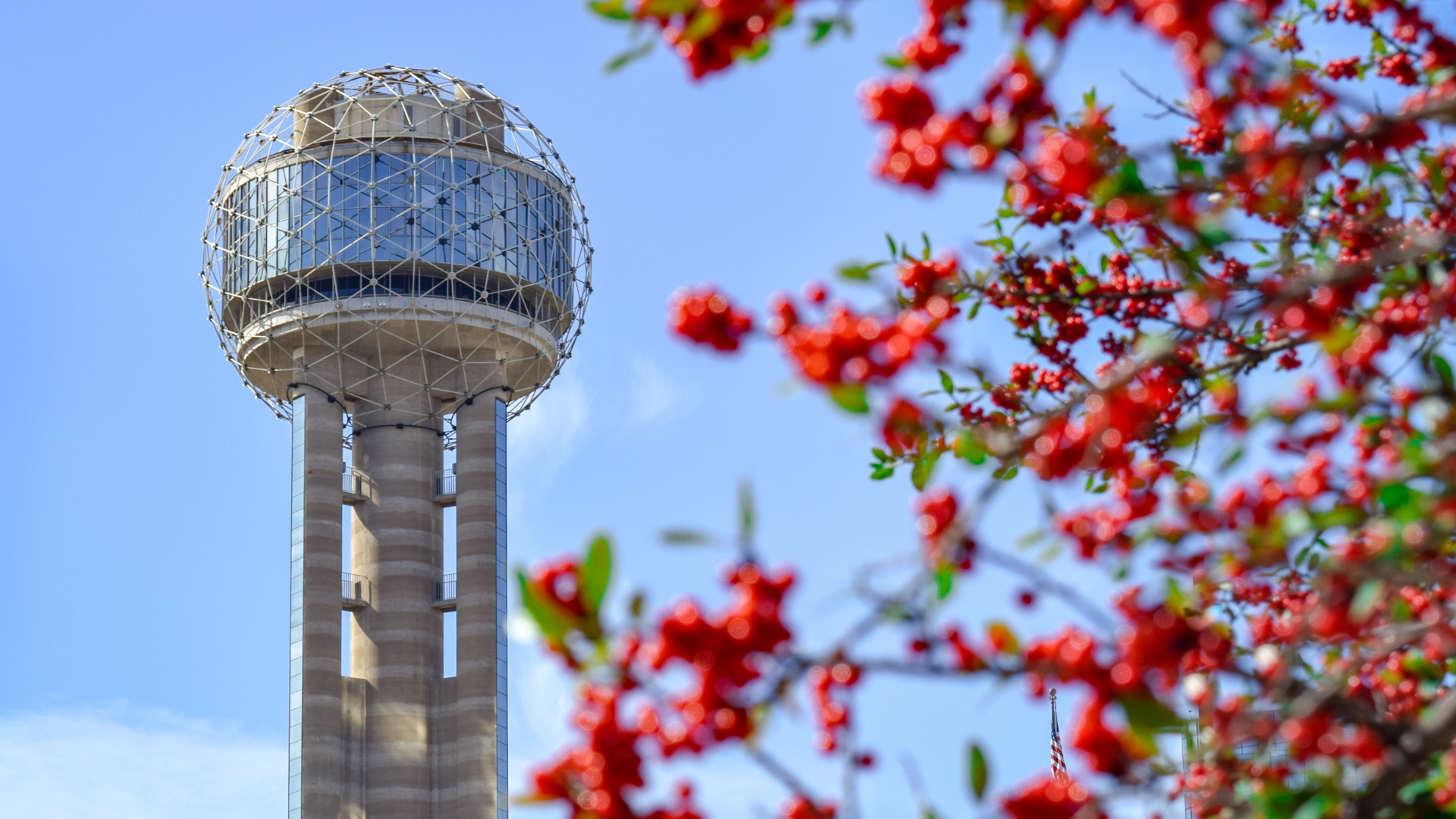 Dallas Colocation - Dallas Data Center Advantages and Pricing