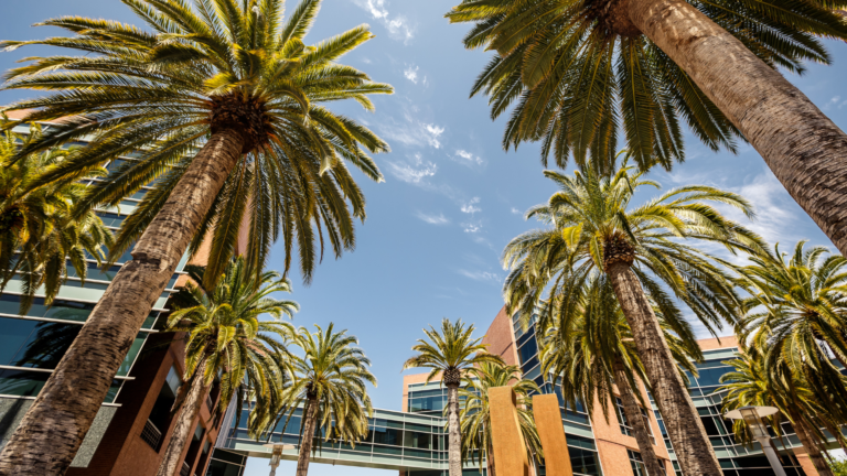 The Top Data Center Markets in the US for 2025